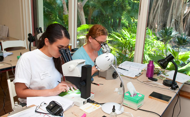 College & University Programs | National Tropical Botanical Garden