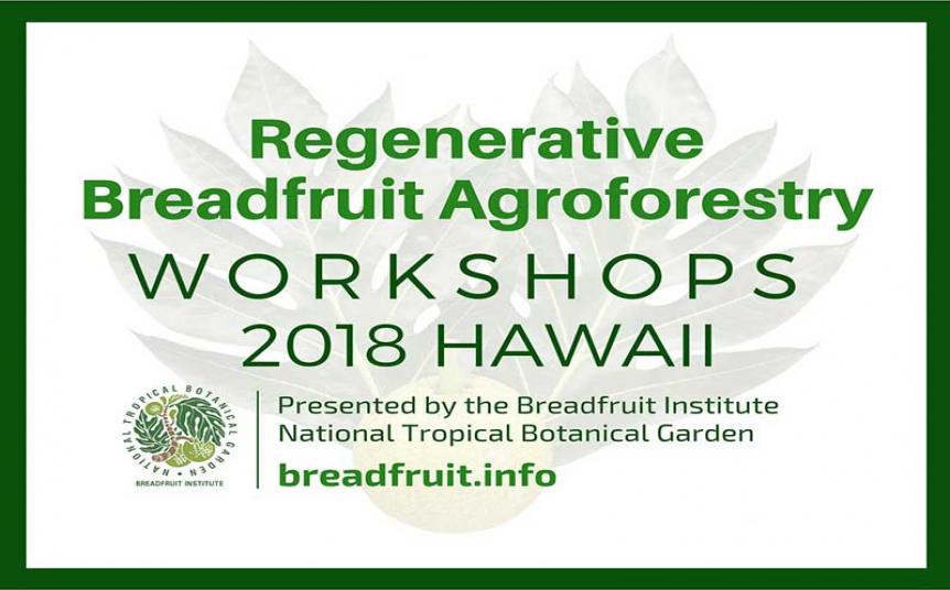 Breadfruit Agroforestry Workshops 2018 - National Tropical Botanical Garden