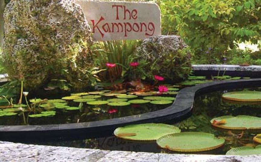 Kampong Online Auction - National Tropical Botanical Garden
