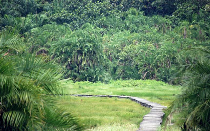 Kampong Lecture Series - National Tropical Botanical Garden