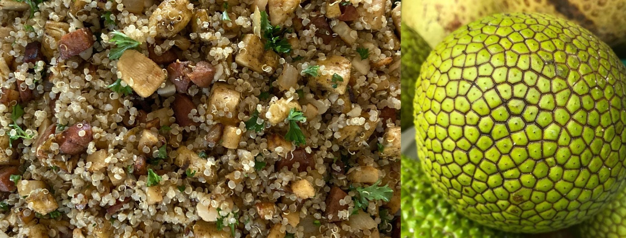 Ulu Stuffing Recipe - National Tropical Botanical Garden