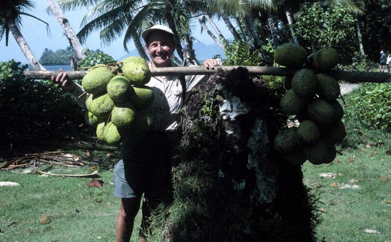 Tropical Crops Key in the Fight for Food Security | News | NTBG