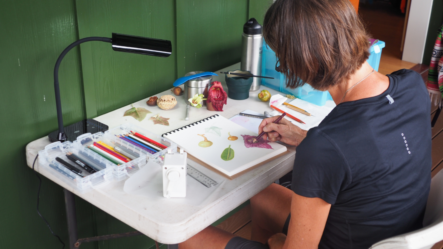 The Science of Art – Why Botanical Illustration Matters - News - NTBG
