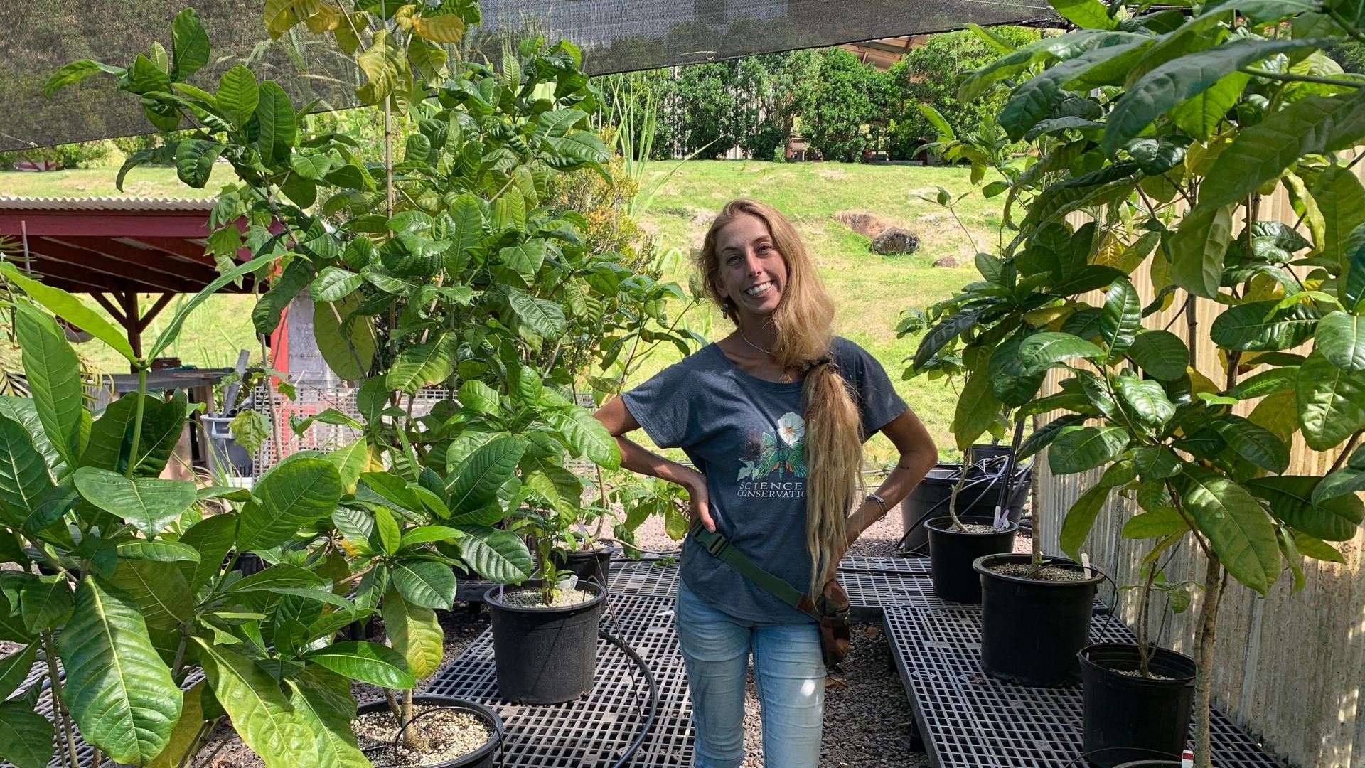 Growing Gardenia Remyi - National Tropical Botanical Garden - News