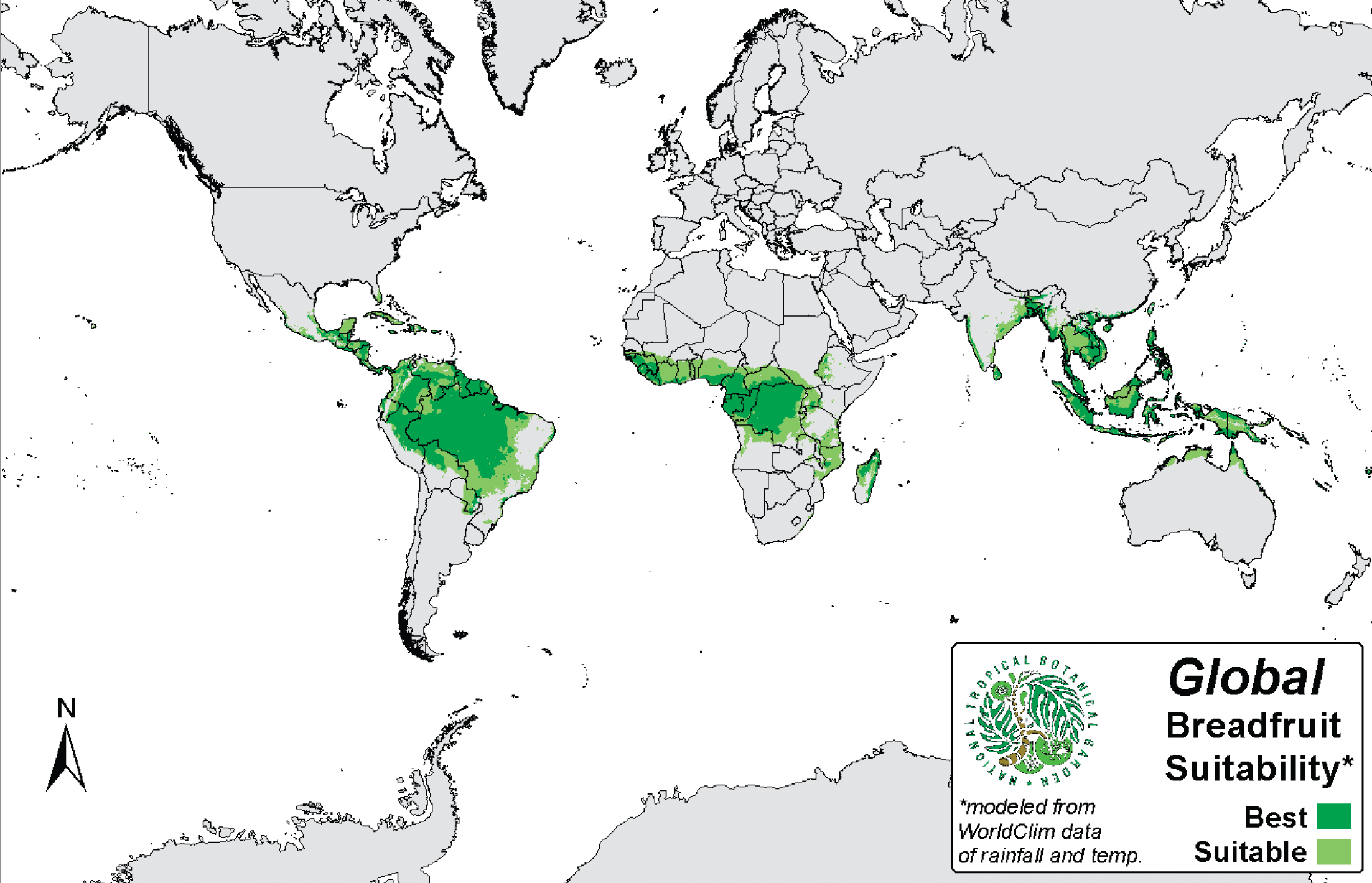 A Global Breadfruit Partnership That Feeds | News | NTBG