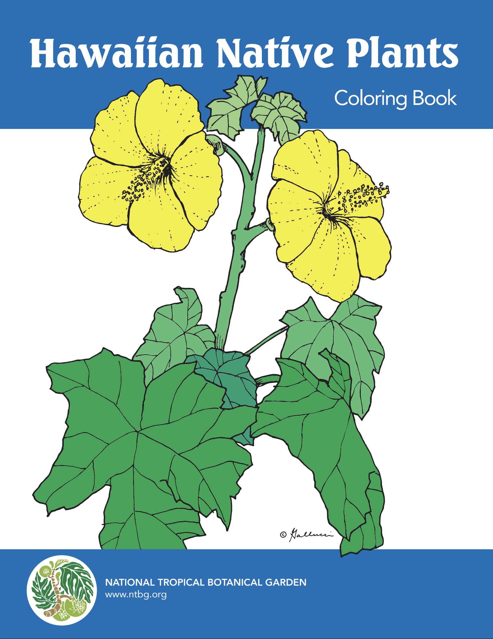 Tropical Plant Coloring Books - National Tropical Botanical Garden