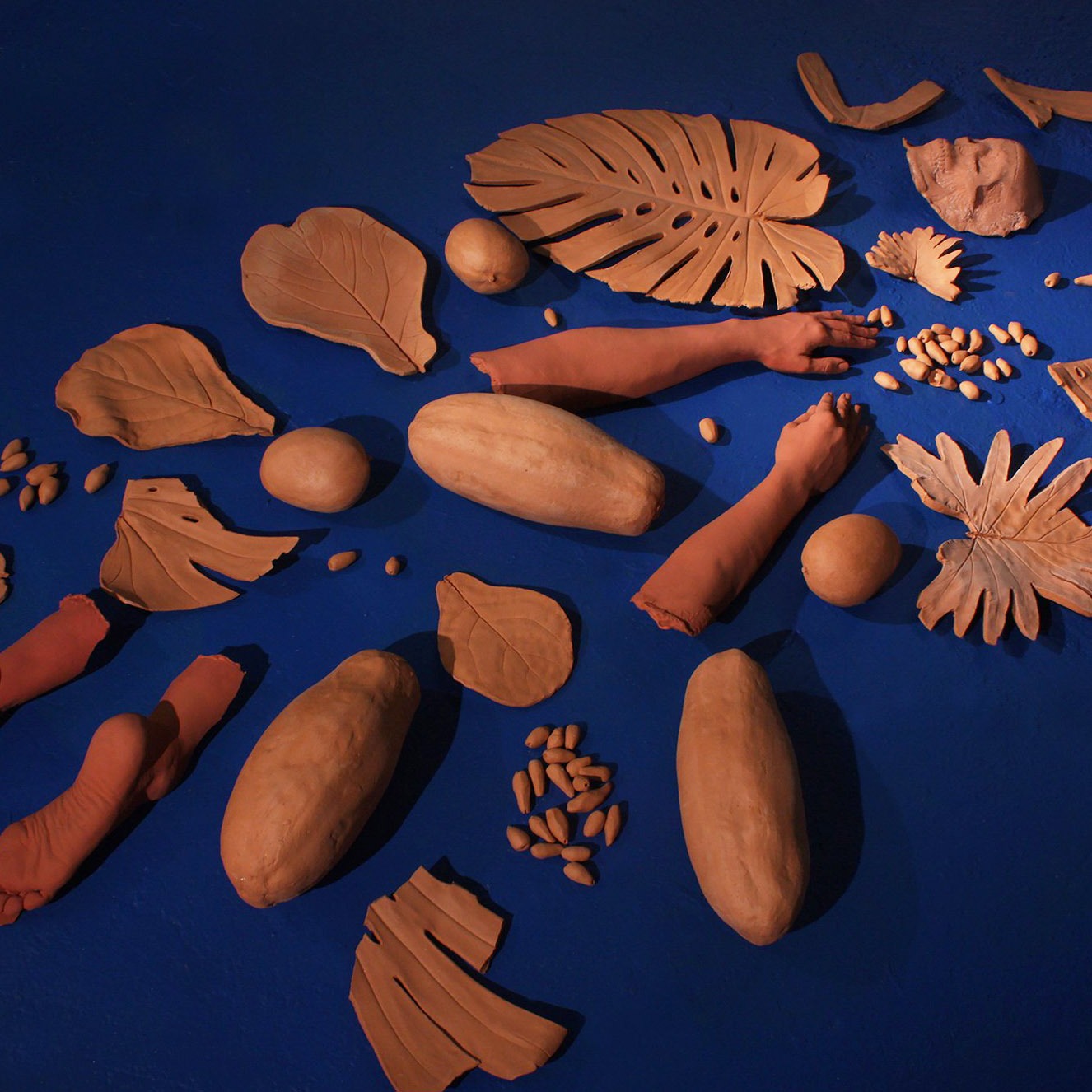 Stories | National Tropical Botanical Garden