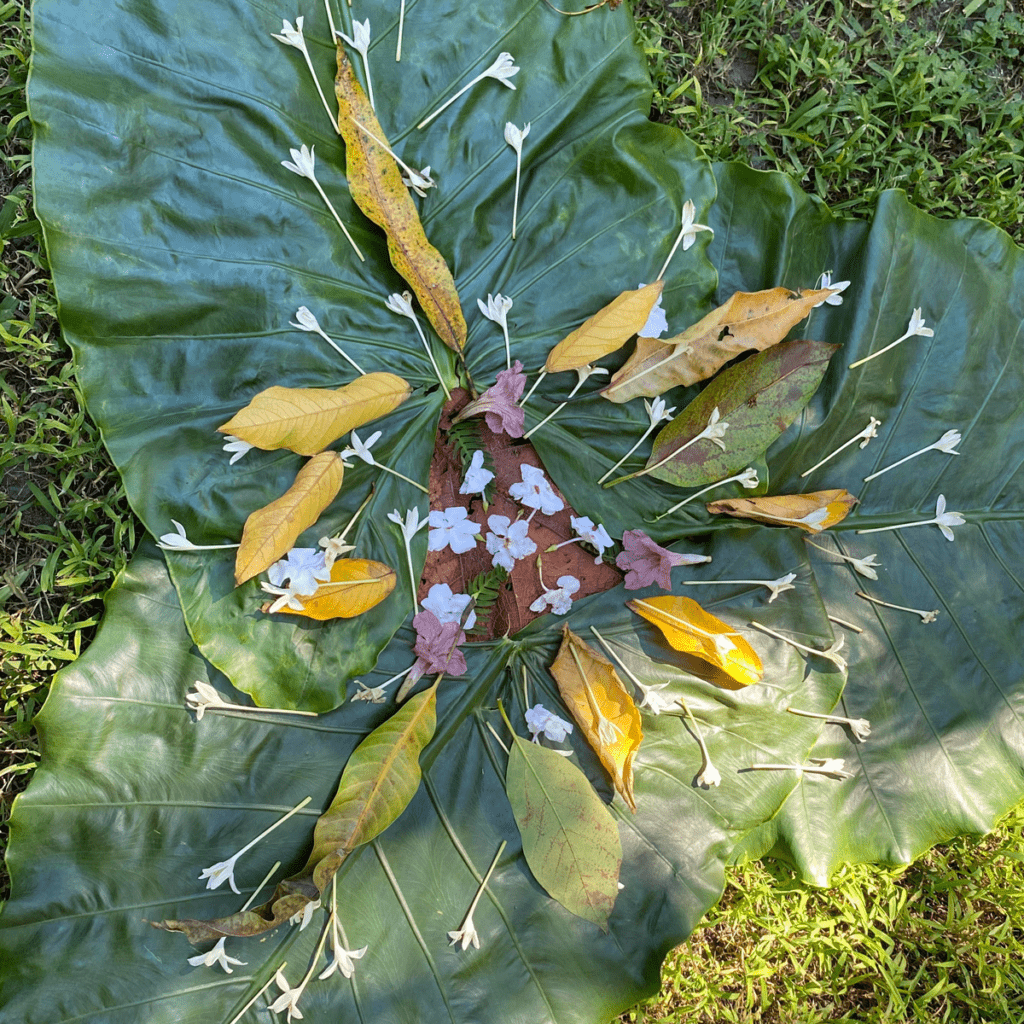 Earth Mandalas with Alexander Zastera - National Tropical Botanical Garden