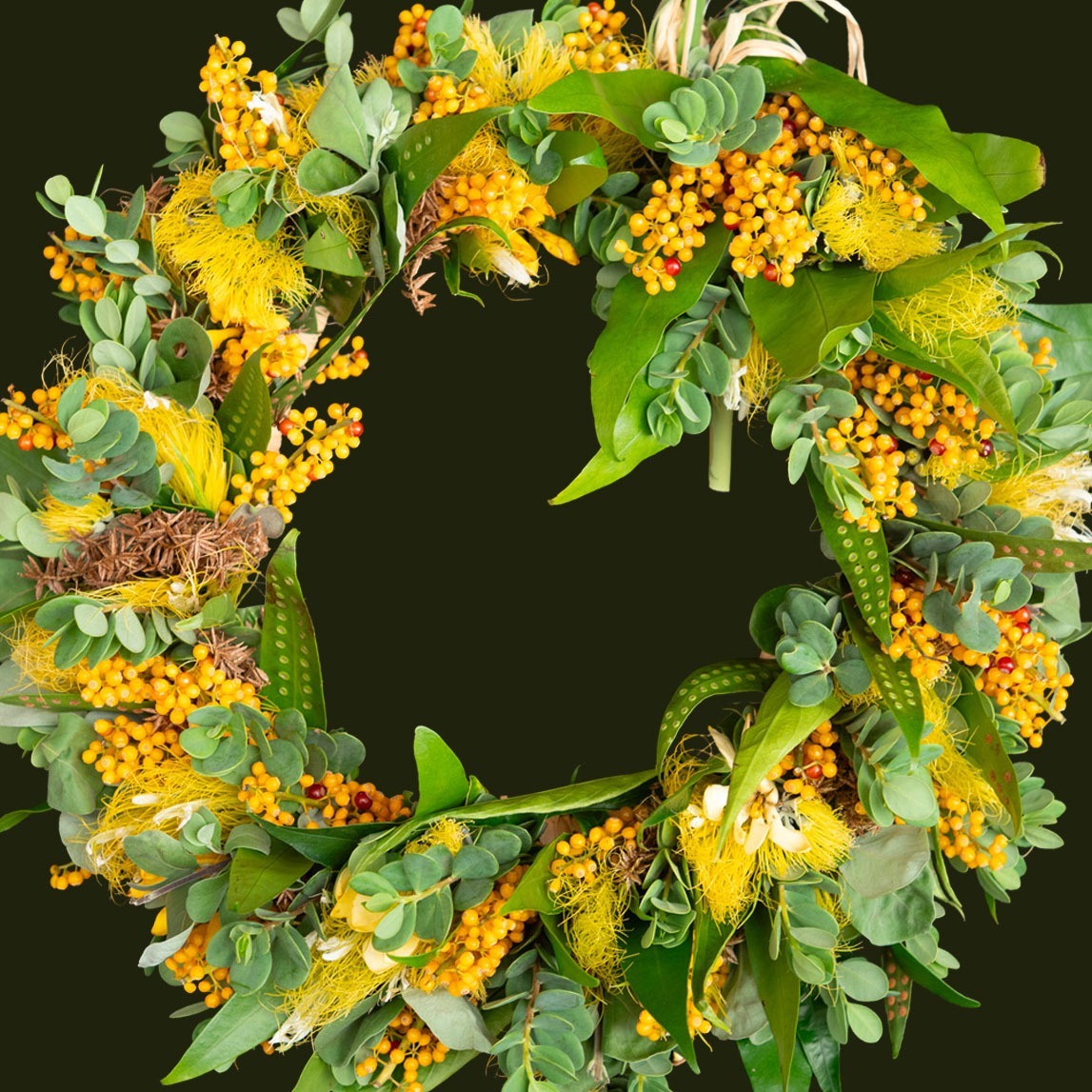 Stories | National Tropical Botanical Garden