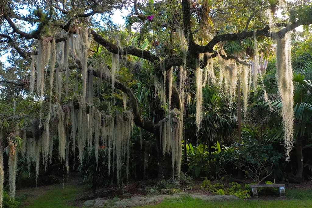 The Kampong Self-guided Tour - National Tropical Botanical Garden