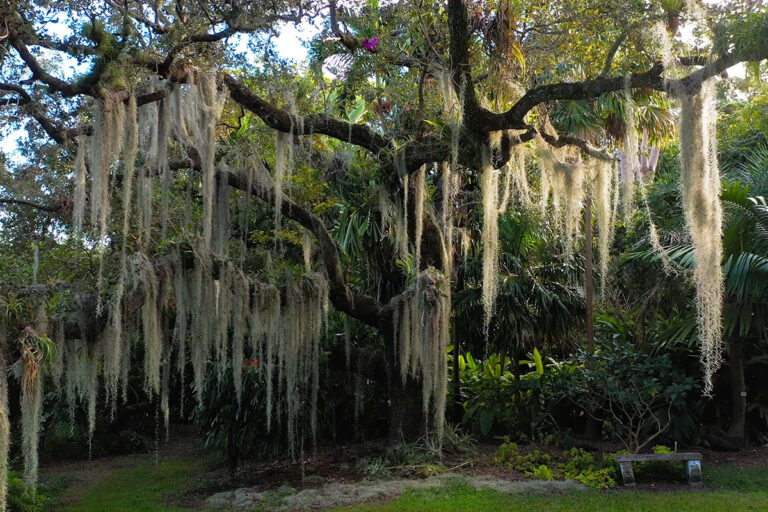 The Kampong Self-guided Tour - National Tropical Botanical Garden