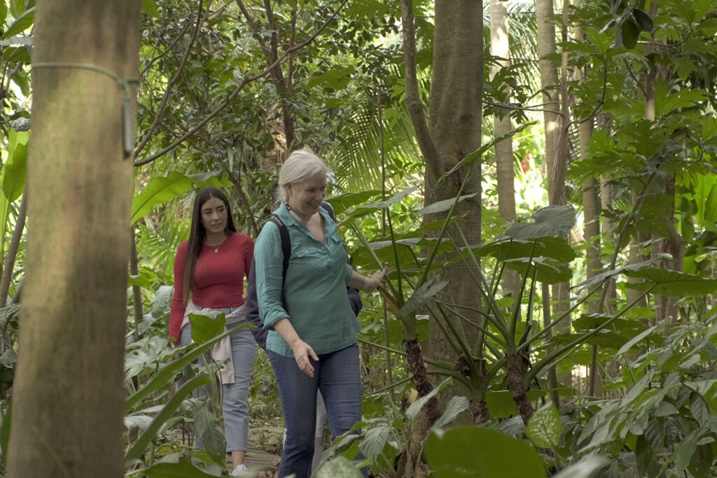 The Kampong Guided Tour - National Tropical Botanical Garden