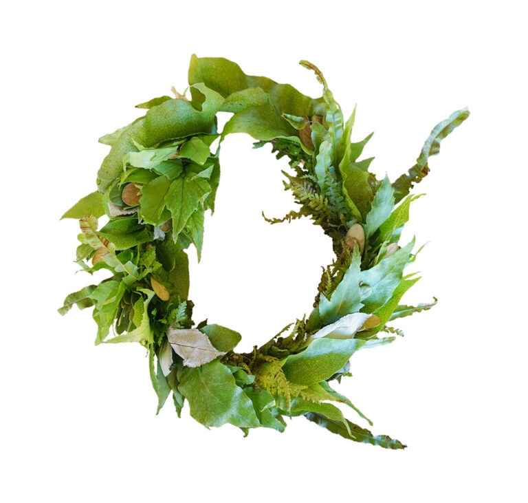 A Lei for Hawaiian Ferns - National Tropical Botanical Garden