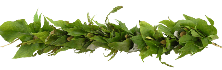 A Lei for Hawaiian Ferns - National Tropical Botanical Garden