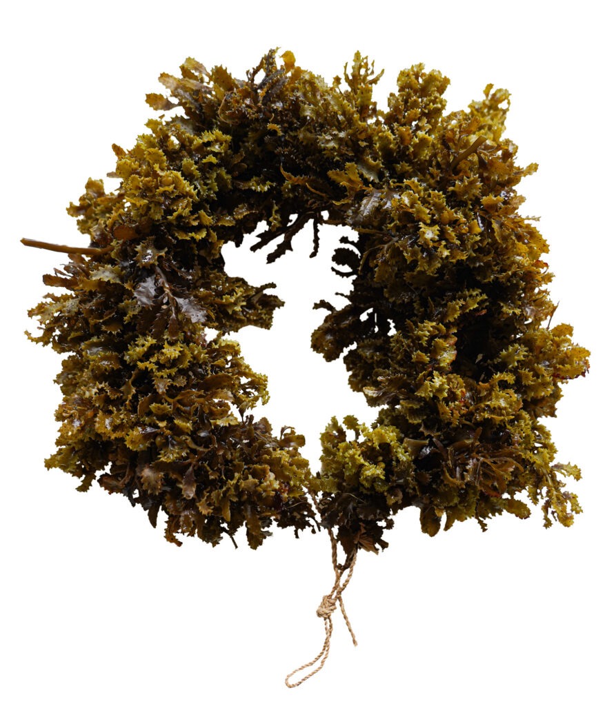 A Lei for Interconnections - National Tropical Botanical Garden