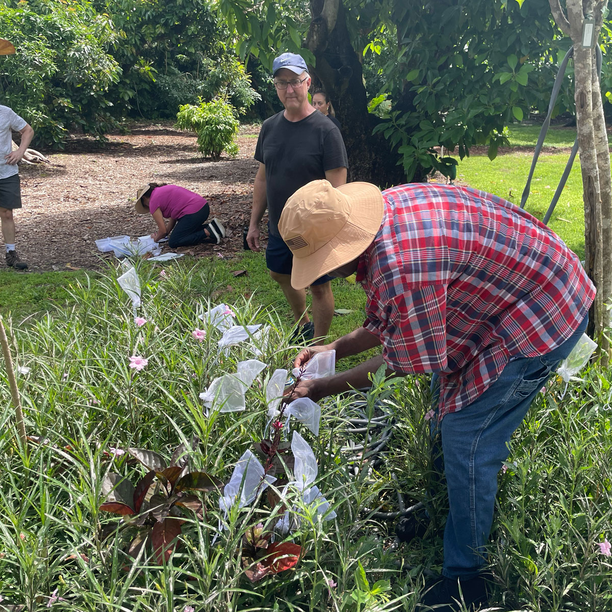 High School Students and Teachers Explore Tropical Botany at The ...