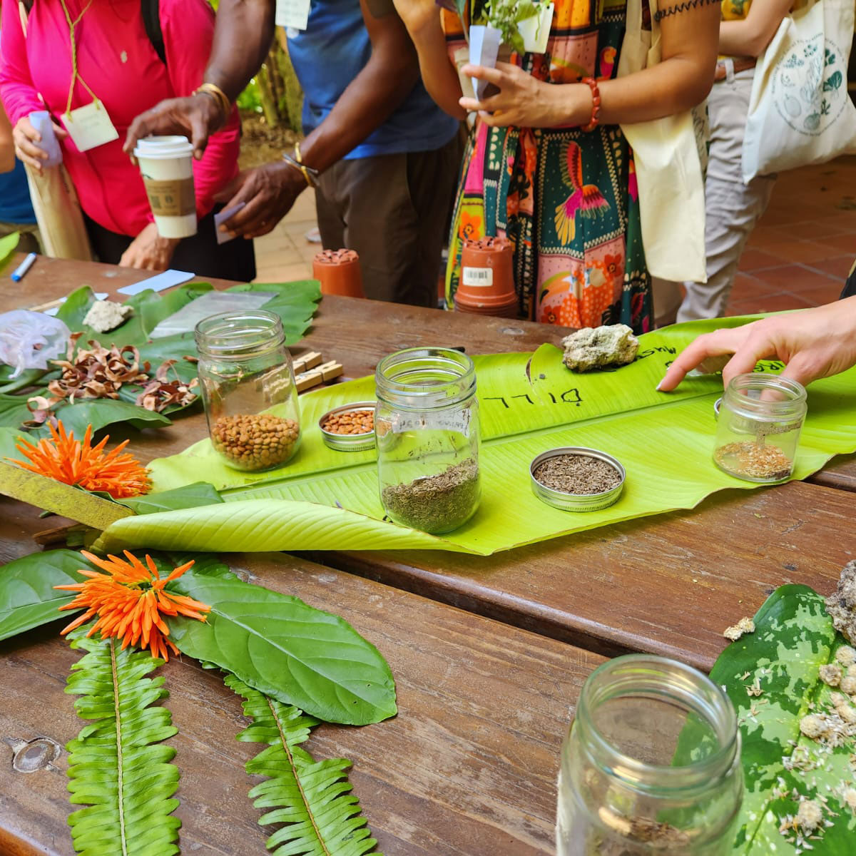 Nurturing Our Local Food System at The Kampong - National Tropical ...