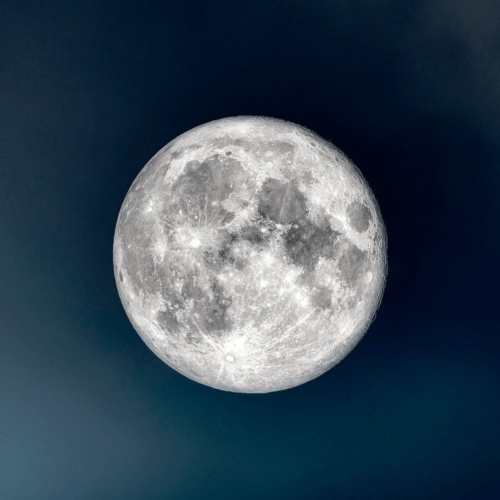 Moonrise Forest Bathing: A Magical Evening at The Kampong - National ...