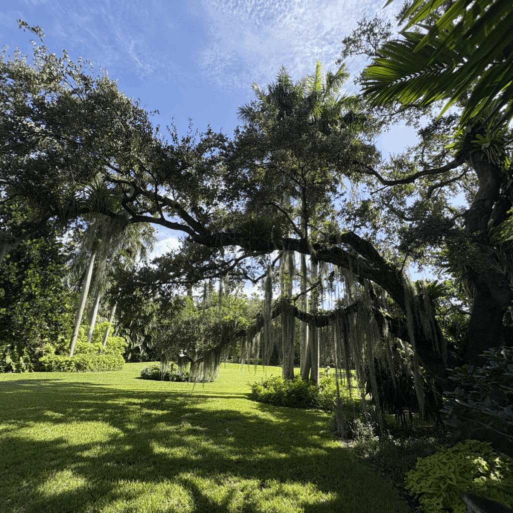 Forest Bathing at The Kampong: Grounded in Science, Inspired by Nature ...