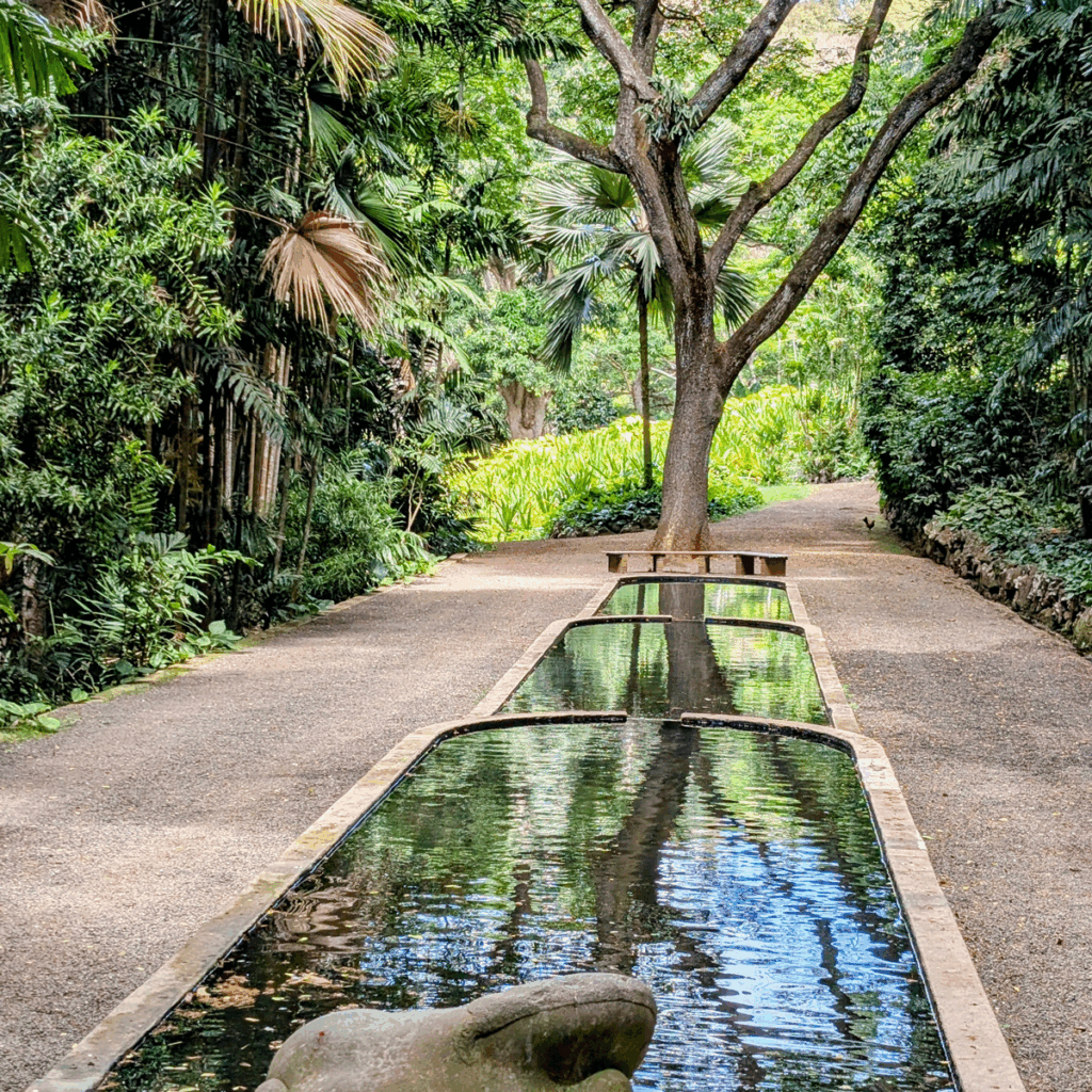 Allerton Garden Highlights: A Tour Guide's Perspective - National ...