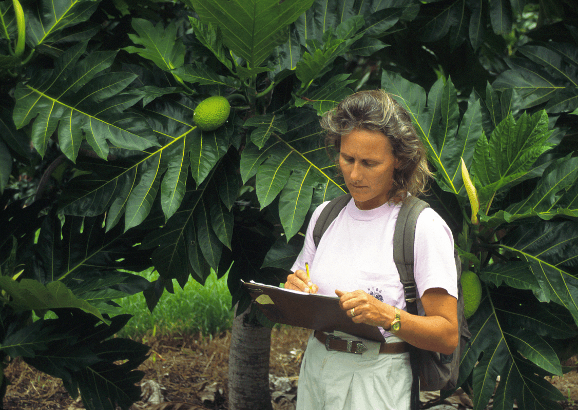 Breadfruit Researcher Diane Ragone to Receive David Fairchild Medal for ...