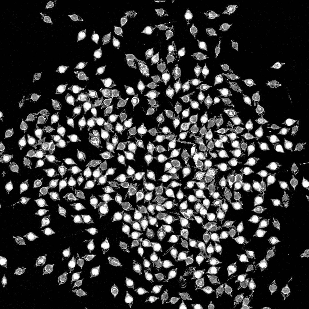 Photo Gallery: Meet Our New Seed X-Ray Machine - National Tropical ...